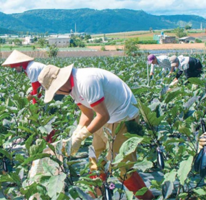 Trang chủ - Cofidec