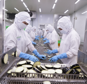 Trang chủ - Cofidec