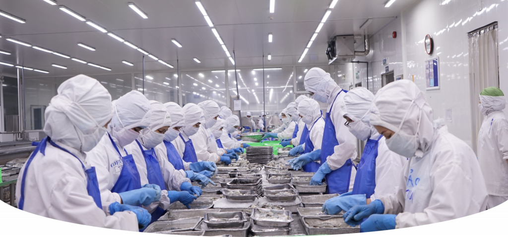 Trang chủ - Cofidec