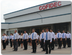 Lĩnh vực hoạt động - Cofidec