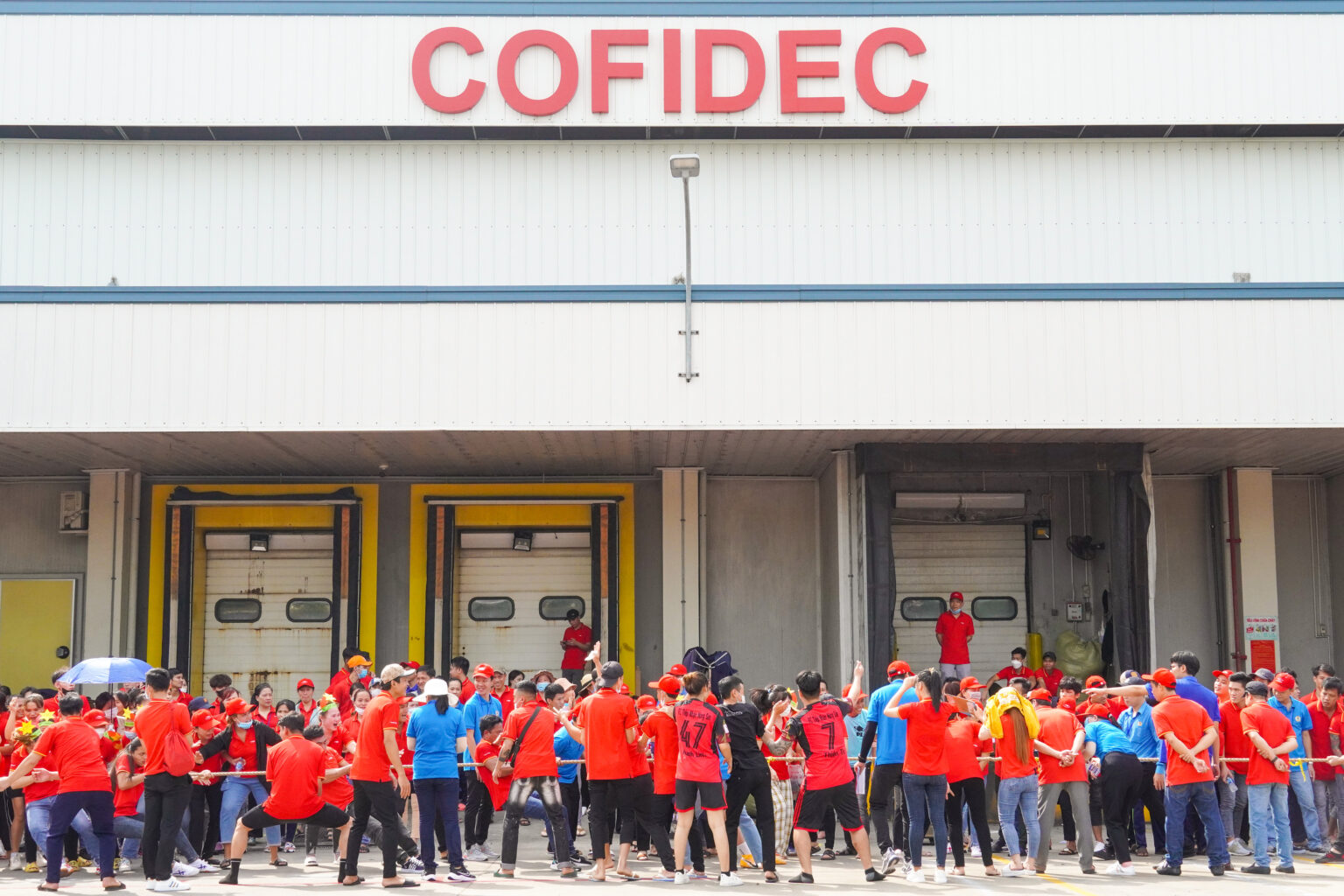Tin tức - Cofidec
