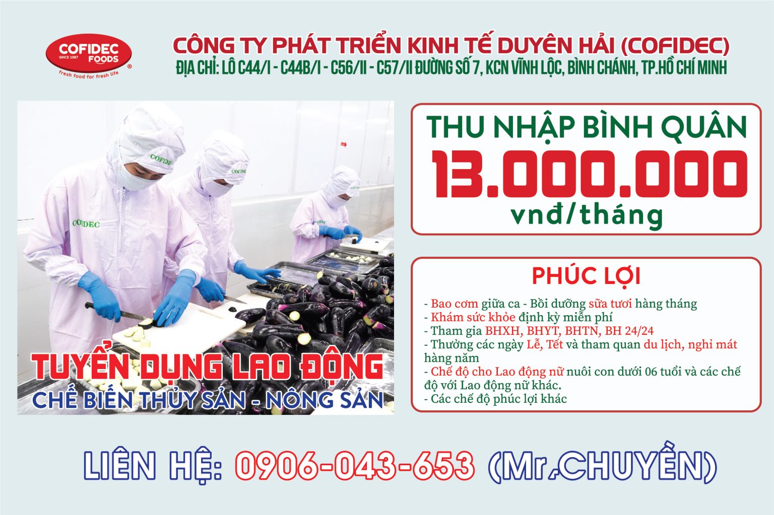 COFIDEC TUYỂN DỤNG – CƠ HỘI NGHỀ NGHIỆP ỔN ĐỊNH & PHÁT TRIỂN! - Cofidec